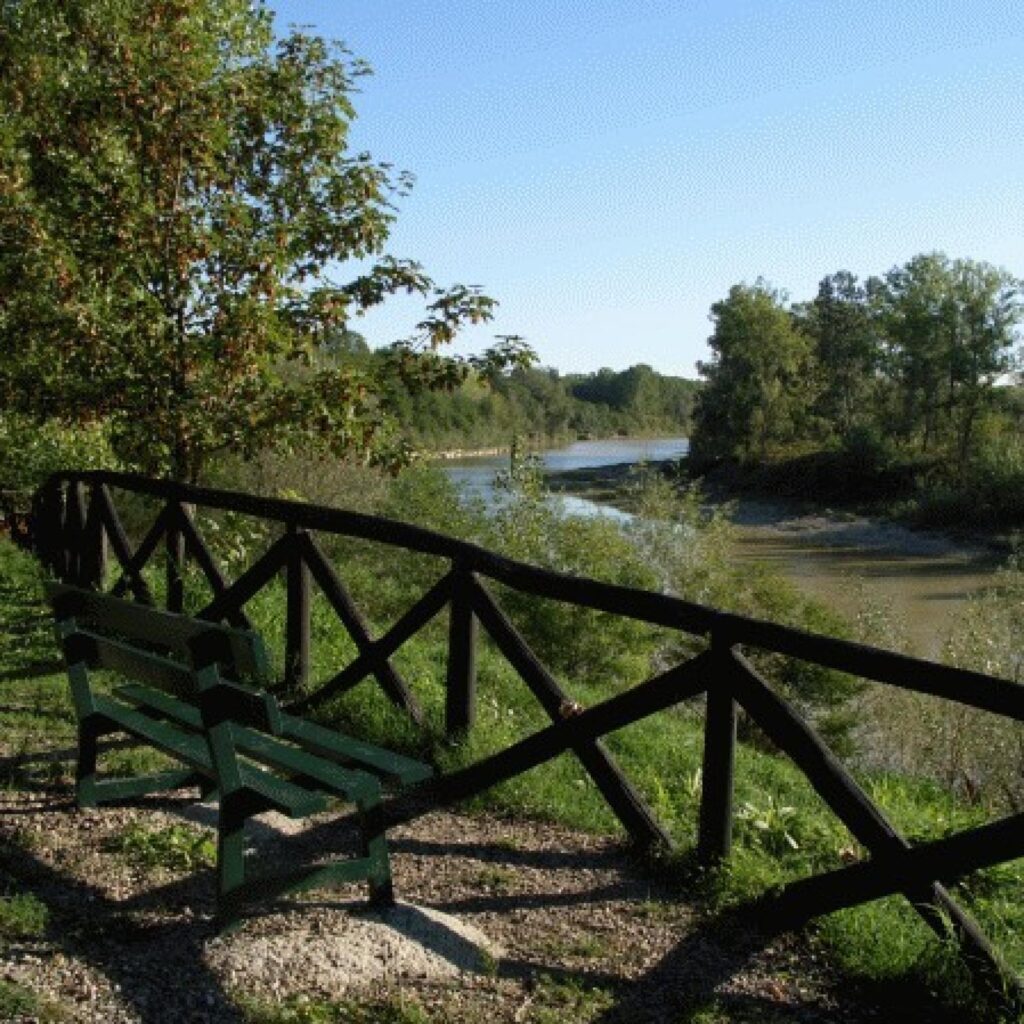 Sentiero 607: la strada di Napoleone nella zona di Valenza ...