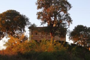 Genius Loci approda a Olivola, prima Città dell’Olio del Piemonte ...