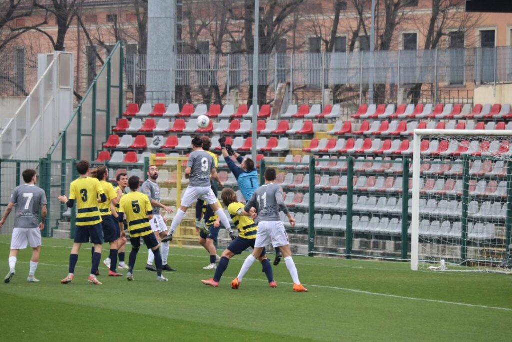 Alessandria Calcio - AlessandriaNews